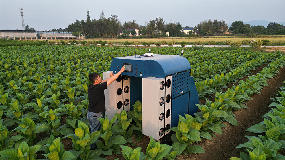Tobacco Unmanned Sprayer Robot - LJ Tech